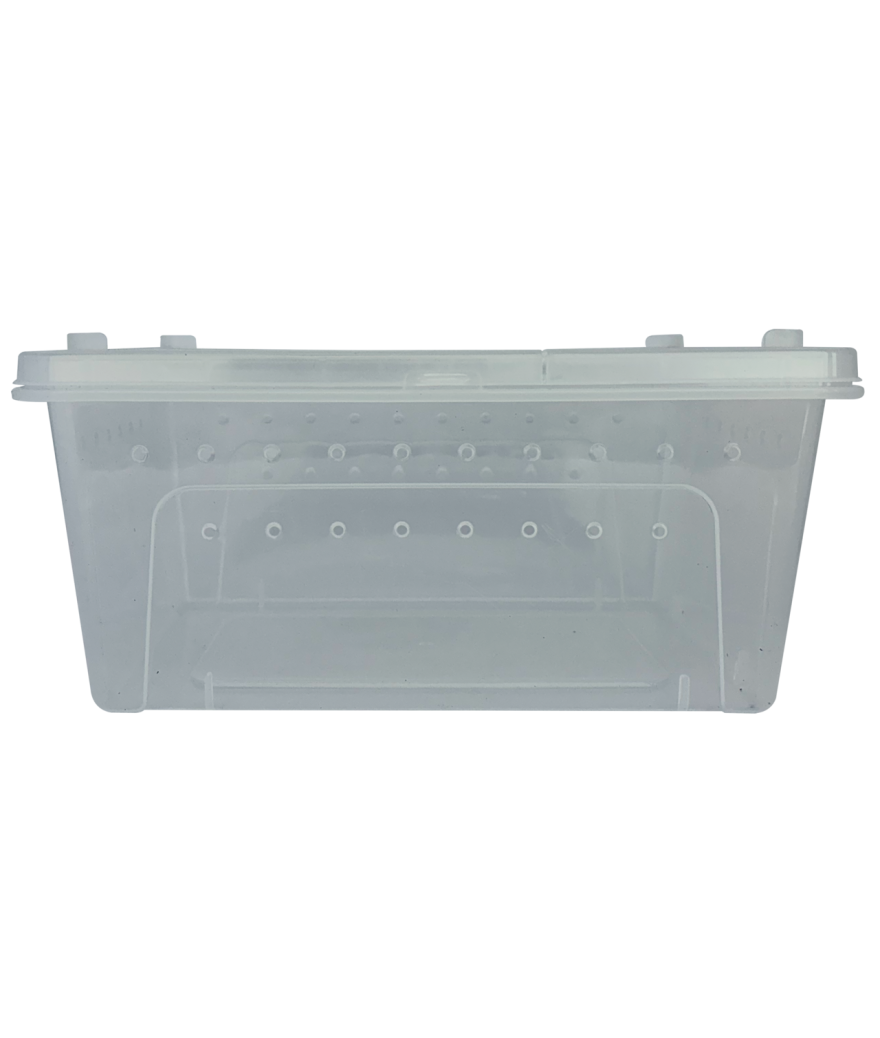 Repto Transport Box, boîte de transport pour reptile