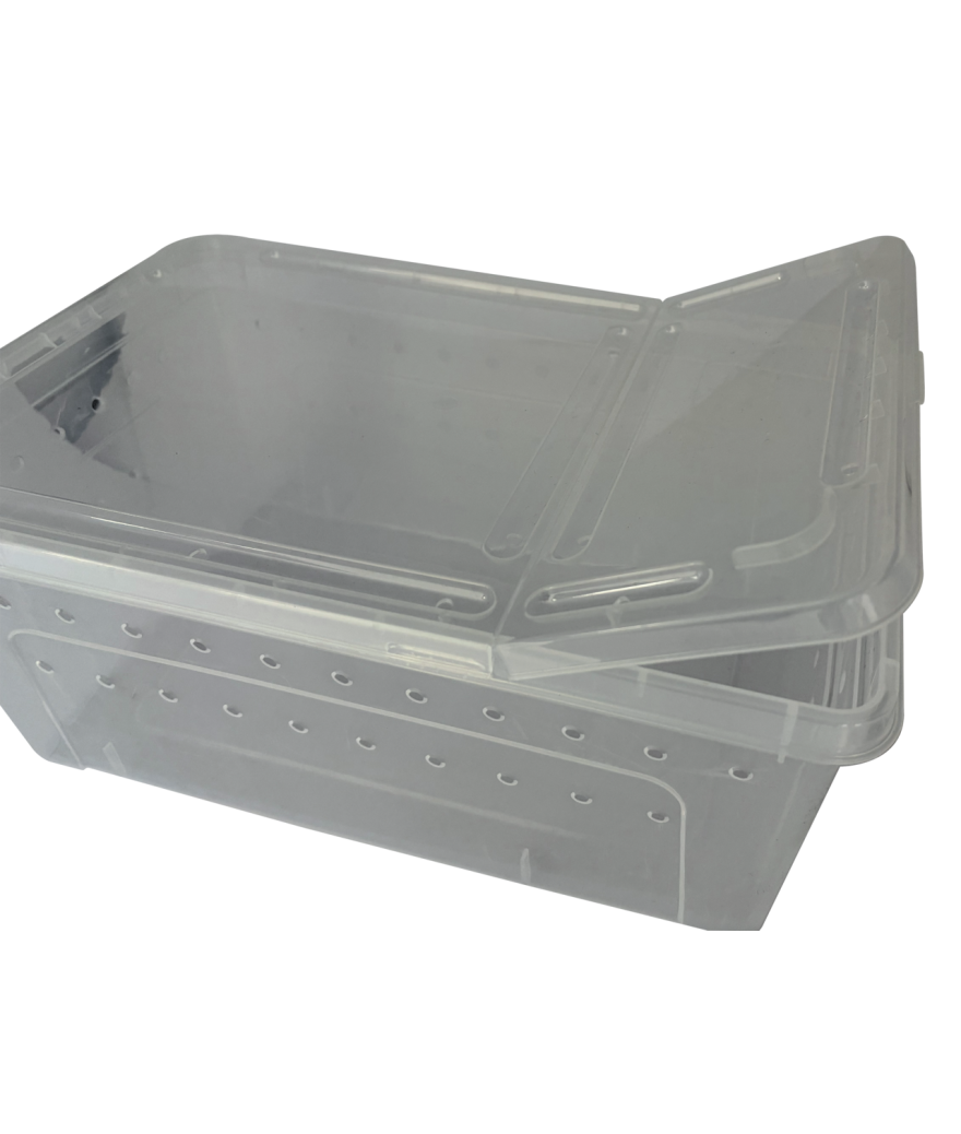 Repto Transport Box, boîte de transport pour reptile