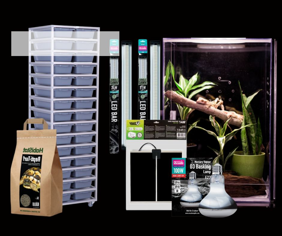 FG Reptiles : Vente de reptiles en ligne et matériel