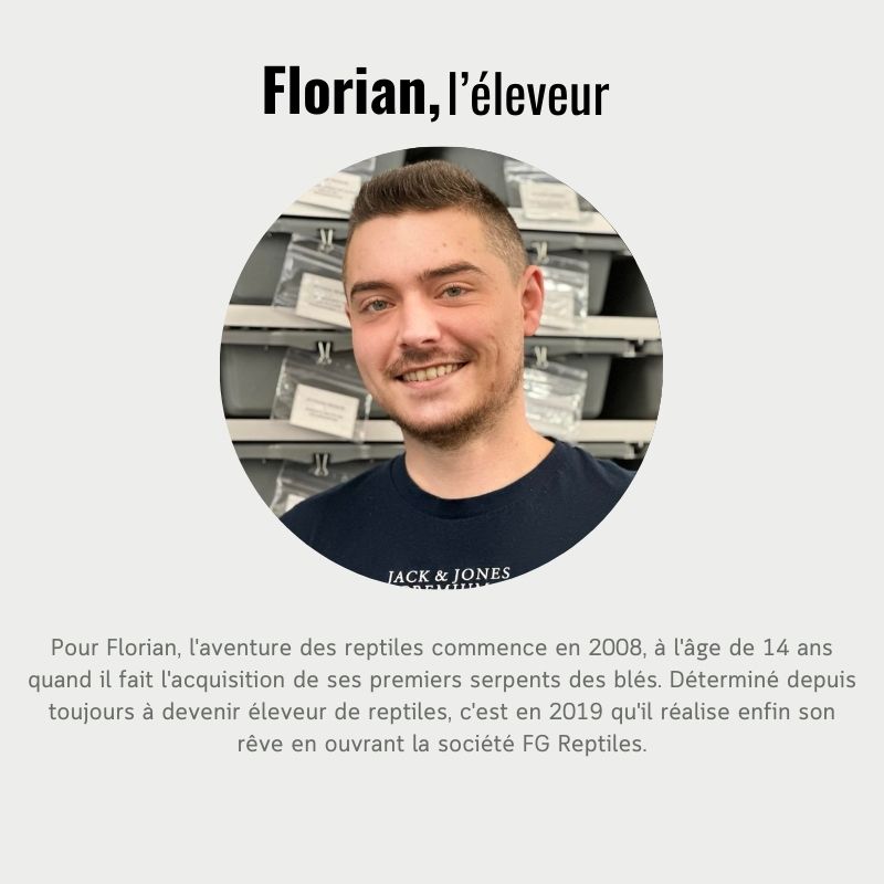 FG Reptiles : Vente de reptiles en ligne et matériel