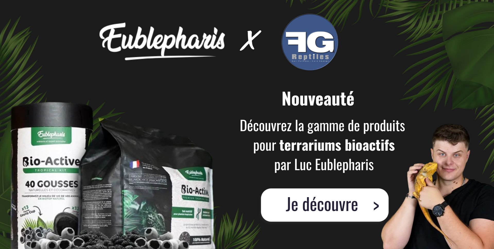 FG Reptiles : Vente de reptiles en ligne et matériel
