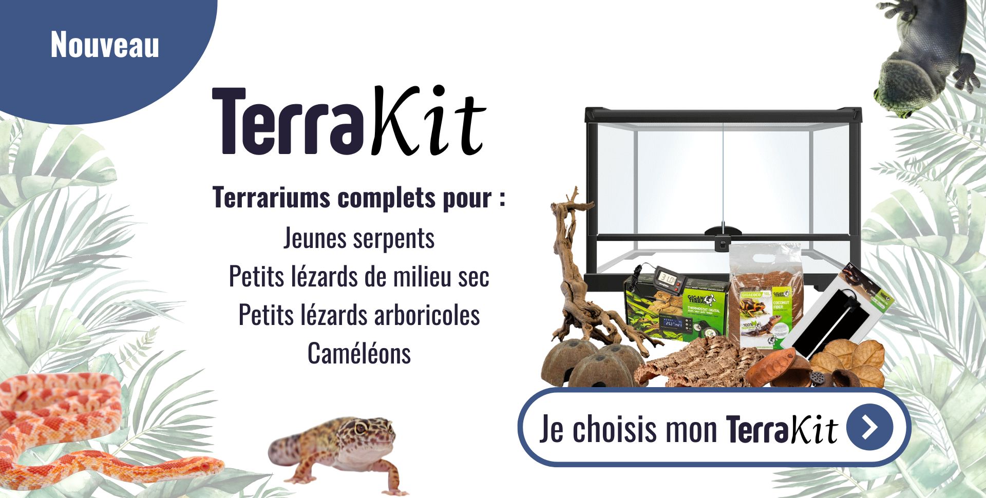 FG Reptiles : Vente de reptiles en ligne et matériel